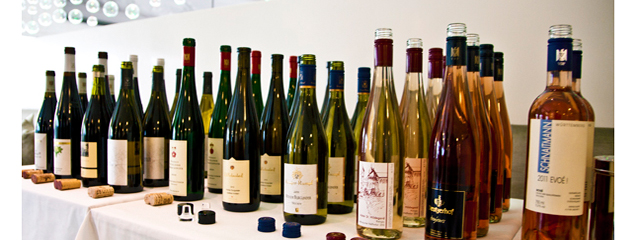 Tysklands andre vinsorter - Mat og Vinnett